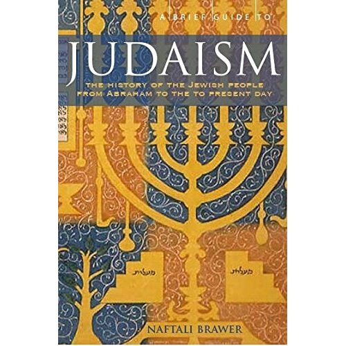 Used A Brief Guide to Judaism: Theology, History and Practice (Brief ...
