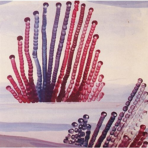 Appendix Out - The Night Is Advancing [CD] on OnBuy