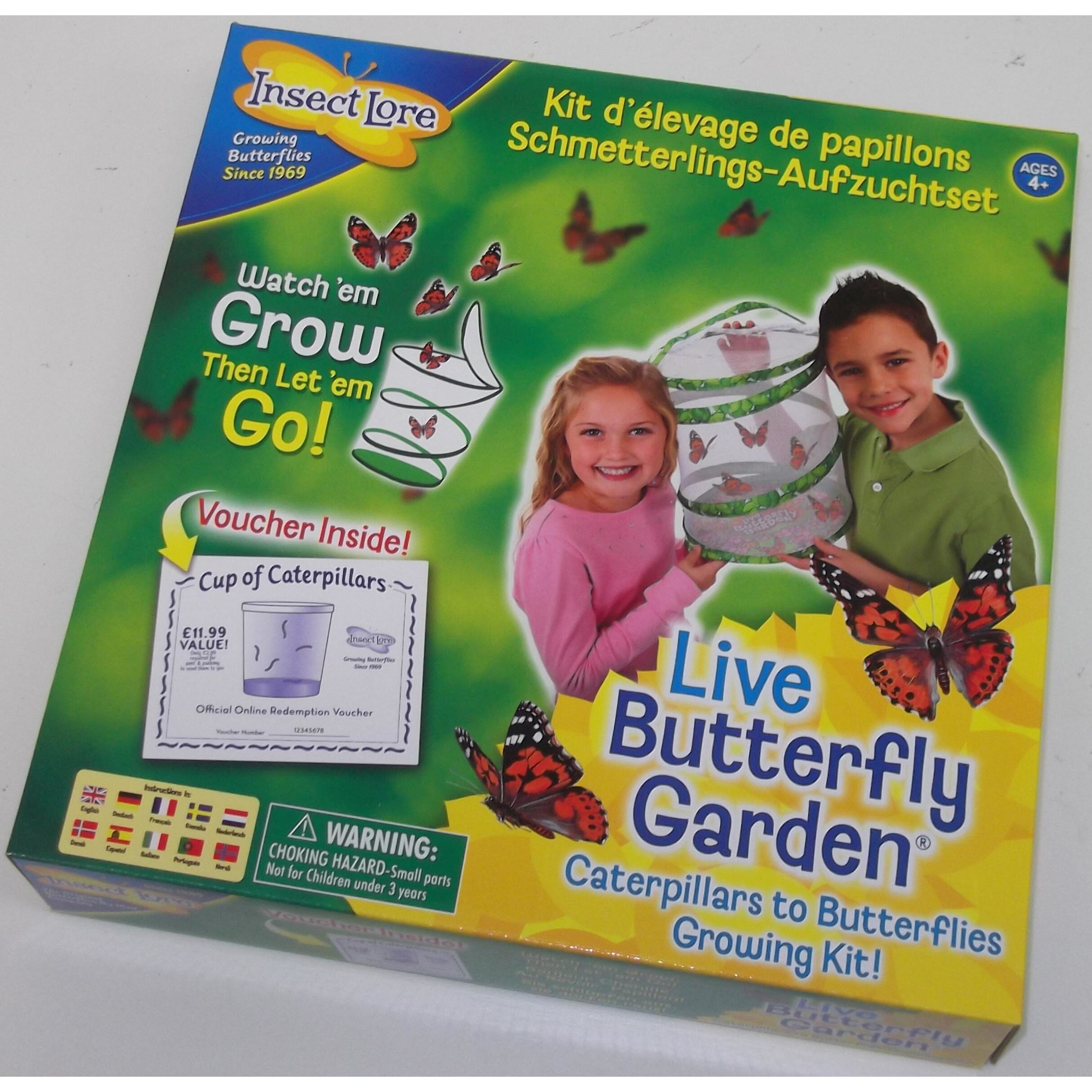 Live Butterfly Garden - Butterfly Breeding Kit on OnBuy