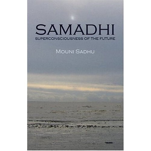 Samadhi: The Superconsciousness of the Future and Ways to Its ...