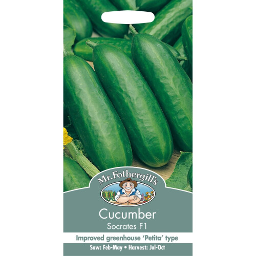 Mr Fothergills - Pictorial Packet - Vegetable - Cucumber Socrates F1 ...