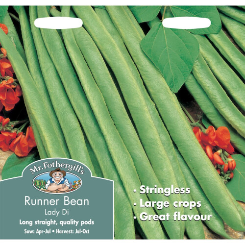 Mr Fothergills - Pictorial Packet - Vegetable - Runner Bean Lady Di ...