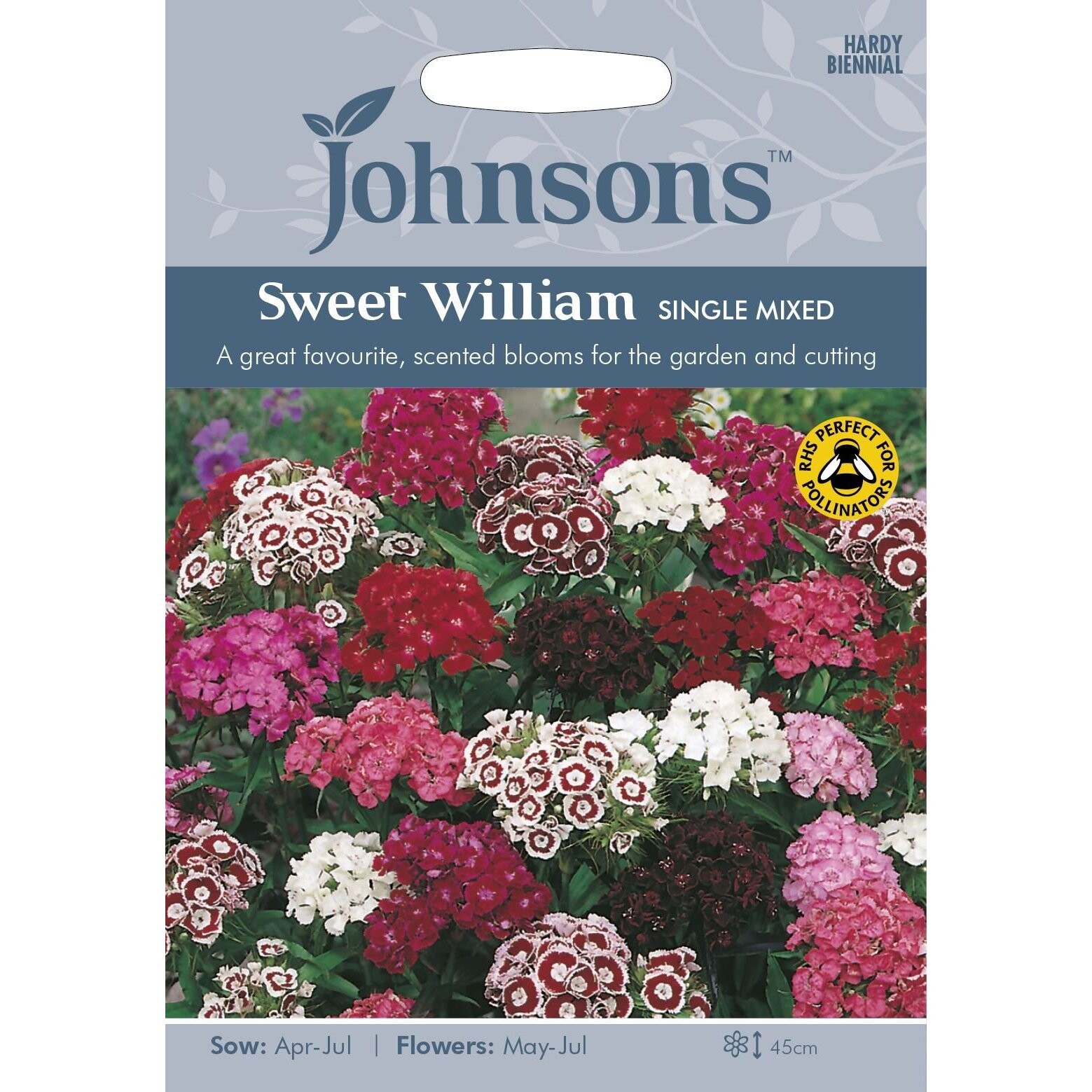 Johnsons Seeds - Pictorial Pack - Flower - Sweet William Single Mixed ...