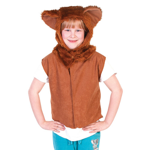 Childrens Lion Fur Tabard Costume - childrens kids boys girls tabard ...