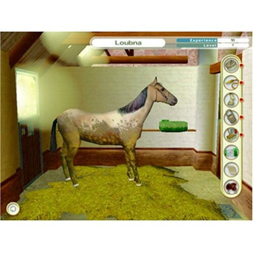 Pippa Funnell: The Stud Farm Inheritance (PC CD) on OnBuy