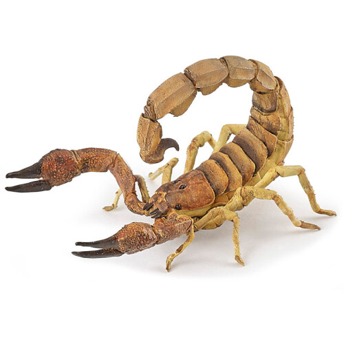 Papo "scorpion" Figure (multi-colour) - Scorpion 50209 Wild Animal ...