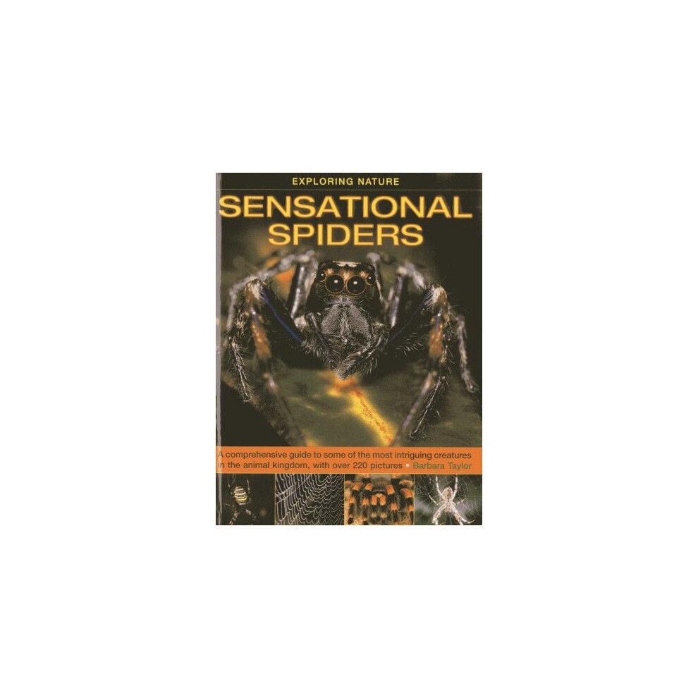 Exploring Nature: Sensational Spiders: A Comprehensive Guide to Some of ...