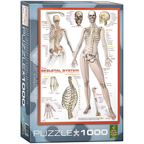 EuroGraphics Skeletal System (Human Body) 1000 Piece Puzzle on OnBuy