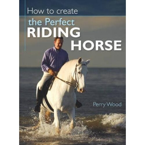 How to Create the Perfect Riding Horse on OnBuy