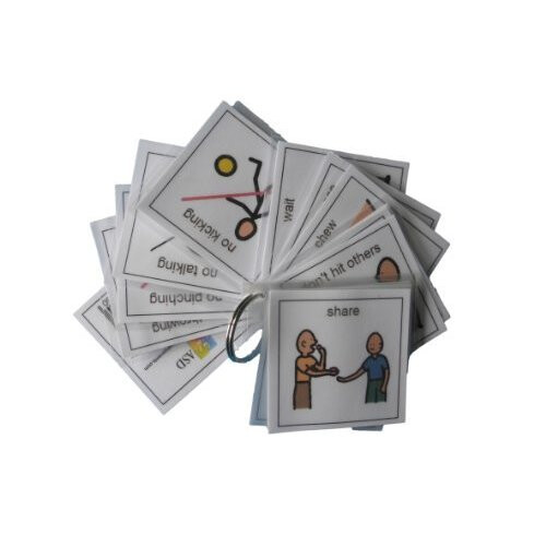 Autism Supplies And Developments Picture Exchange Communication System ...