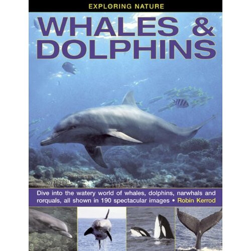 Exploring Nature: Whales & Dolphins: Dive into the Watery World of Whales, Dolphins, Narwhals ...