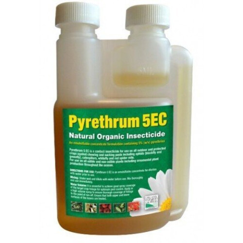 Pyrethrum 5EC - 100ml | Natural Organic Insecticide on OnBuy