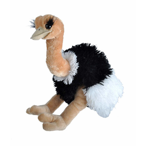 Wild Republic Ostrich Plush Soft Toy, Cuddlekins Cuddly Toys, Gifts for ...