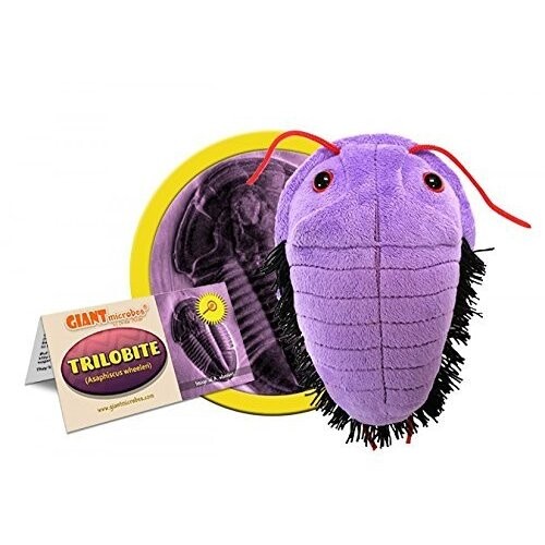 GIANTmicrobes Trilobite Plush Toy on OnBuy