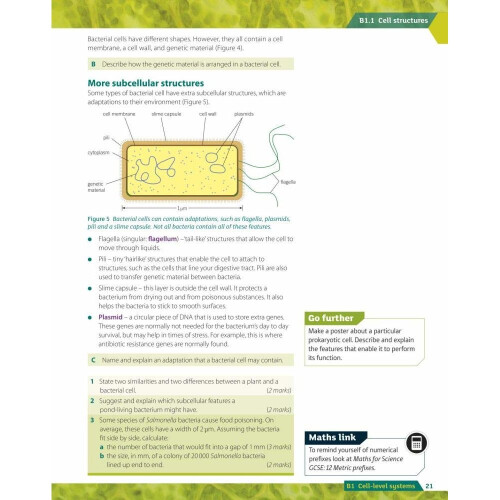 OCR Gateway GCSE Biology Student Book on OnBuy