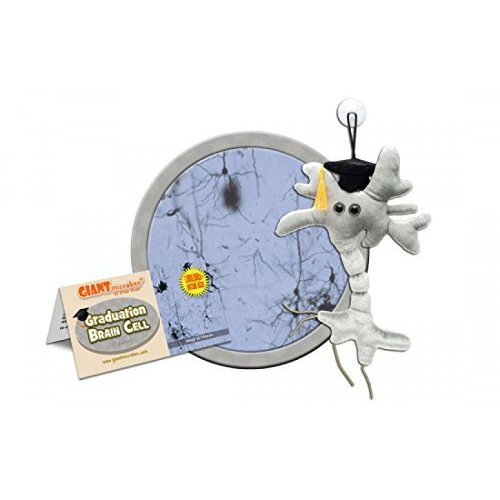 Graduation Brain Cell Plush Doll (Neuron) Plush Toy on OnBuy