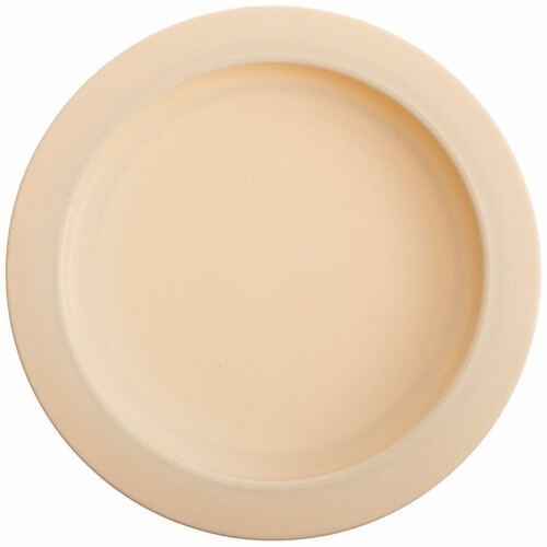 Sammons Preston Plate with Inside Edge, 9" Plate with Food Spill ...