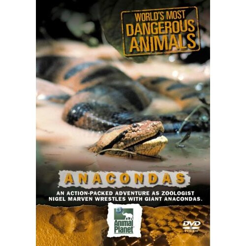 World's Most Dangerous Animals - Anaconda [DVD] on OnBuy