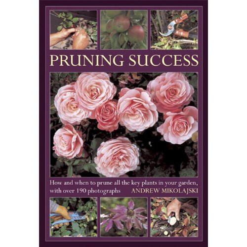 Pruning Success: How and When to Prune all the Key Plants in your Garden on OnBuy