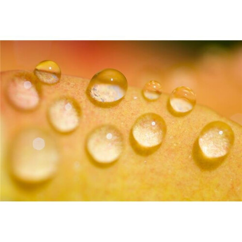 Water Droplets Poster Print, 20 x 13 on OnBuy