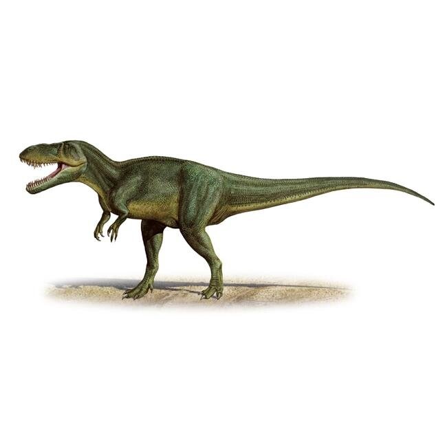 Torvosaurus Tanneri A Prehistoric Era Dinosaur From The Late Jurassic Period Poster Print, 20 x ...