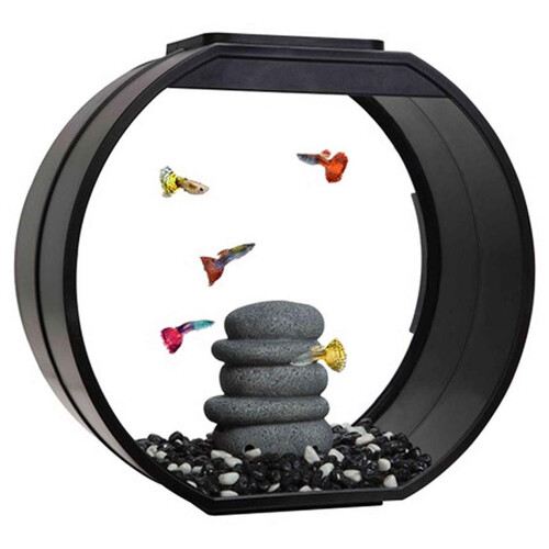Fish R Fun Deco O Mini Fish Tank | Black LED Aquarium 10L on OnBuy