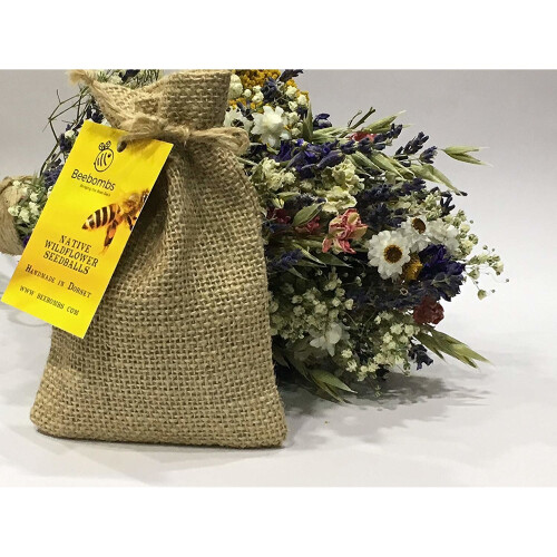 Beebombs Native Wildflower Seedballs on OnBuy