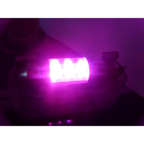 4 LED Interior Festoon 31mm C5W 269 Bulb Blue Red White Green Disco ...