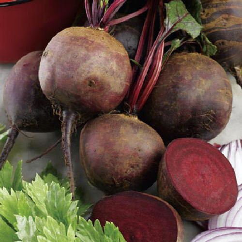 Viridis Hortus Beetroot Boltardy Seeds - 400 on OnBuy