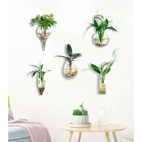 5 pieces set glass wall hanging container wall vase plant pot on OnBuy