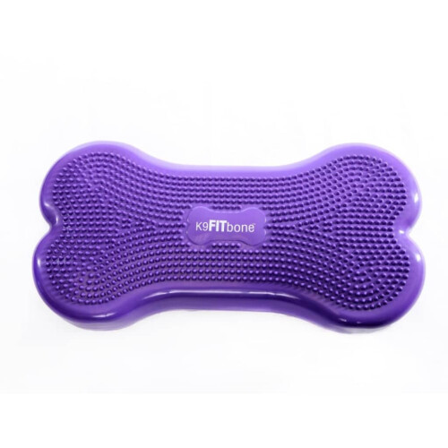 FitPAWS Pet Balance Platform Giant K9FITbone PVC Violet Training ...