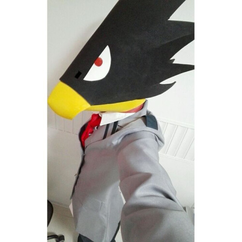 My Hero Academia Fumikage Tokoyami Bird Head Cosplay Mask on OnBuy