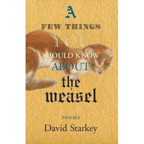 Few Things You Should Know About the Weasel by Starkey & David on OnBuy