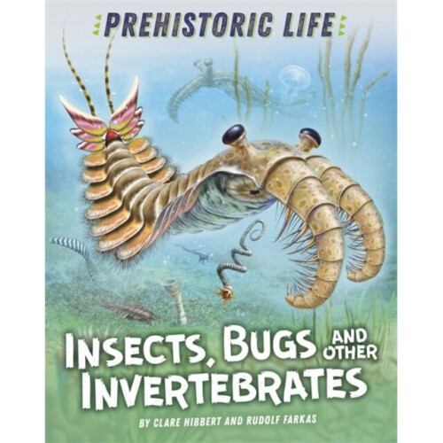 Prehistoric Life Insects Bugs and Other Invertebrates by Hibbert ...