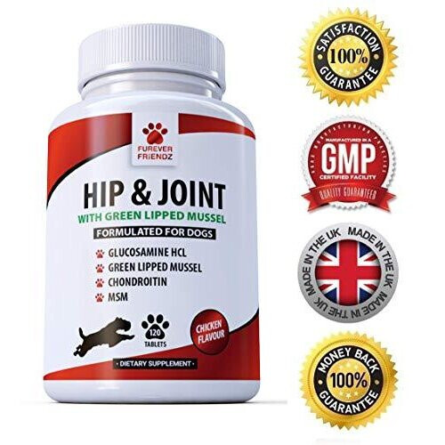 Advanced Hip and Joint Support for Dogs - Glucosamine, Chondroitin, MSM ...