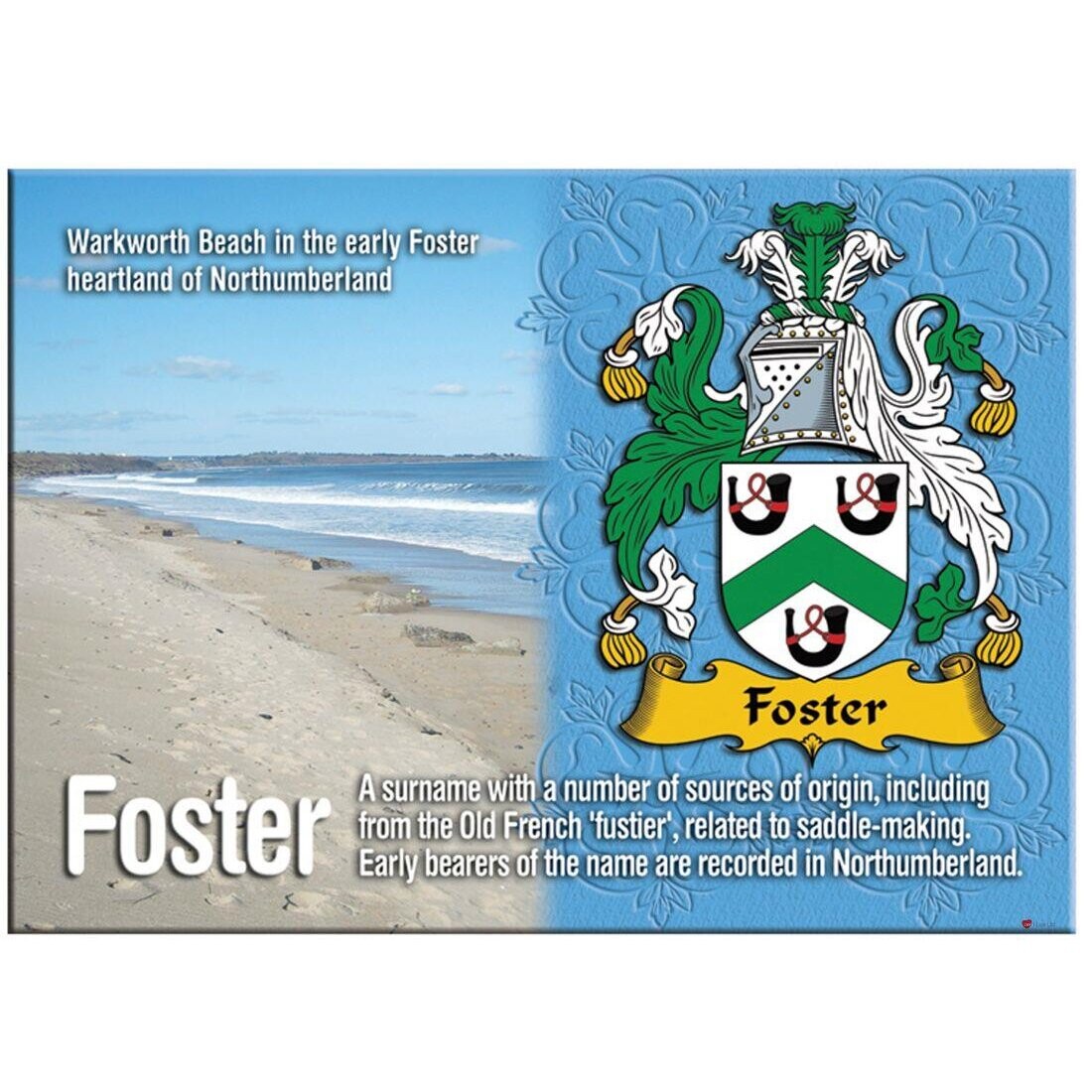 Foster English Family Surname Souvenir Metallic Picture Fridge Magnet ...