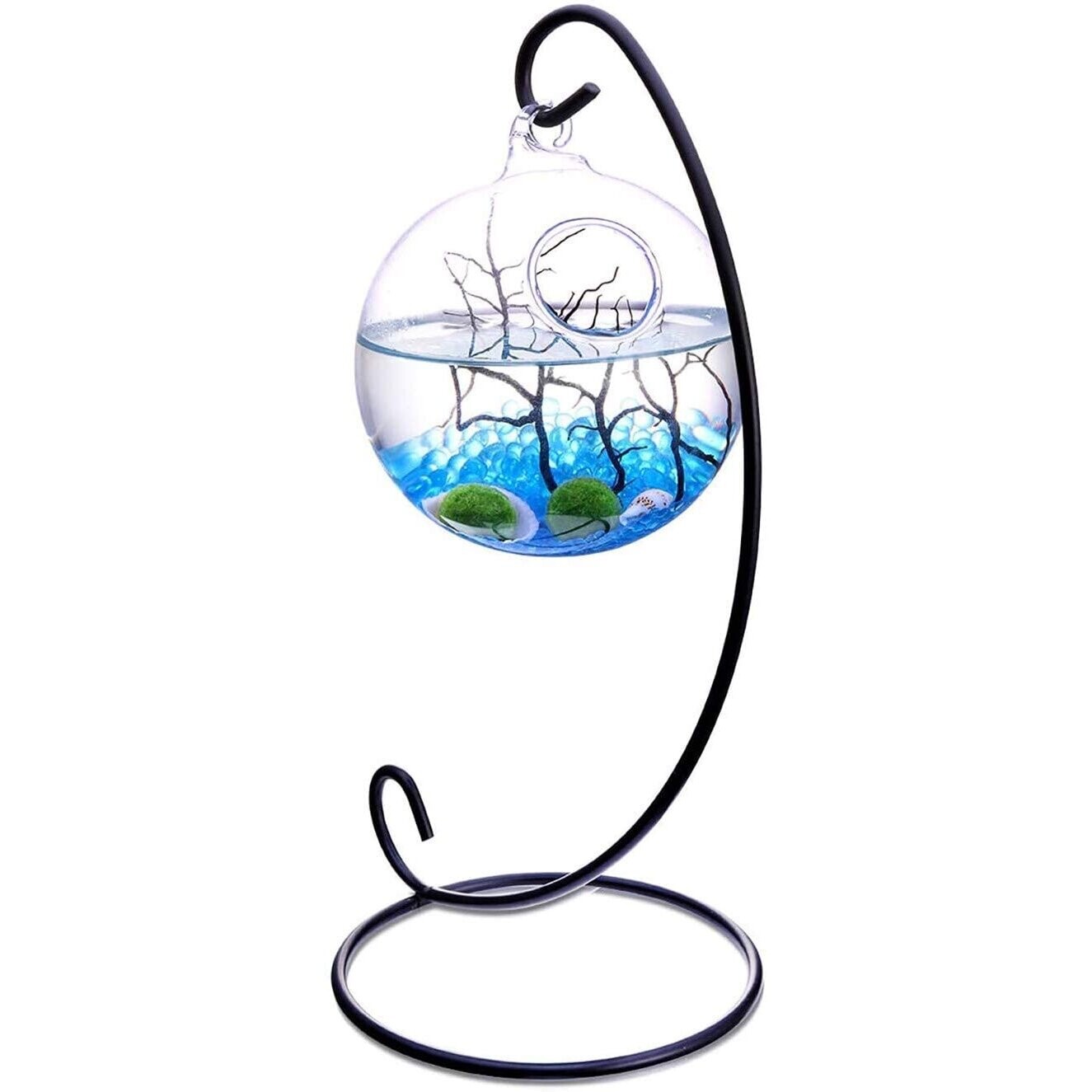 Sky Blue Table Aquarium Kit With Aquatic Marimo Living Moss Balls on OnBuy
