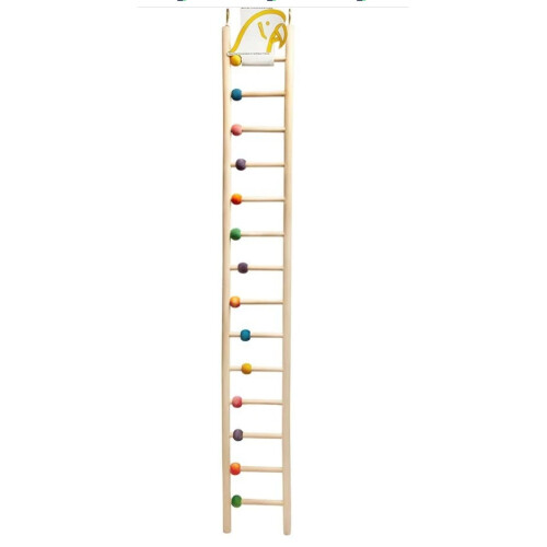 14 Rung Caged Bird Interactive Activity Wooden Ladder with Beads on OnBuy