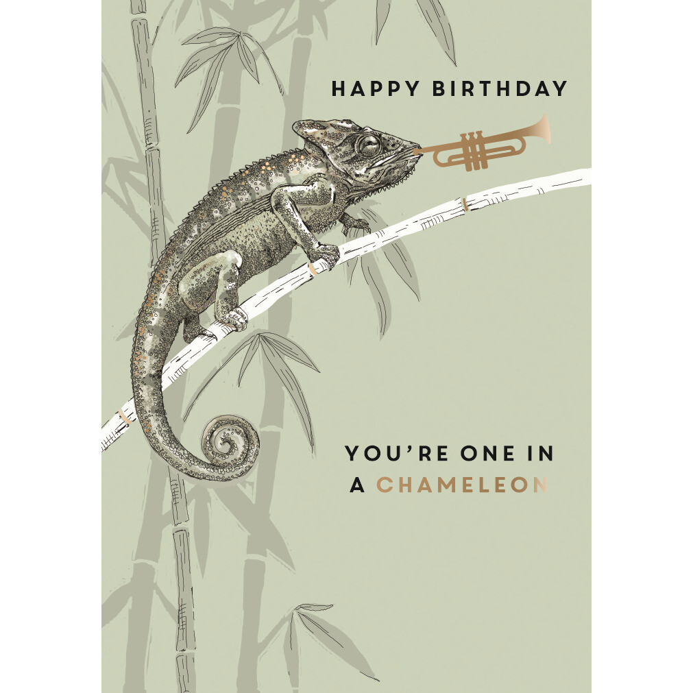 Happy Birthday Your One In A Chameleon Birthday Greeting Card King ...