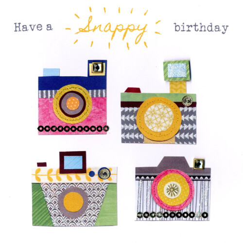 Cameras Bright & Breezy Birthday Greeting Card Glitter Embellished ...