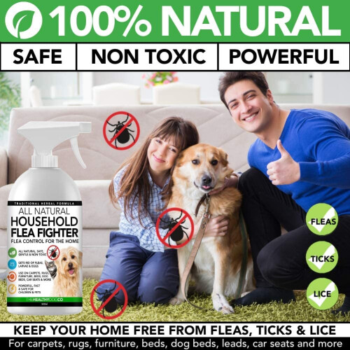 All Natural HouseHold Flea Spray | Flea Fighter | 500ml | Safe For Dogs ...