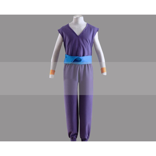 (Version 1) Dragon Ball Z Gohan Cosplay Costume on OnBuy