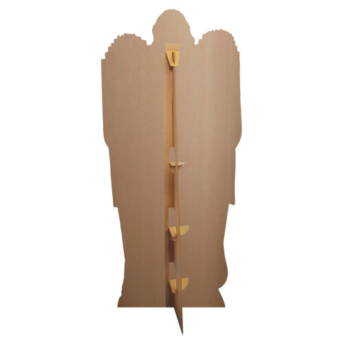 Wonder Woman Gold Armour (WW84) Official Lifesize Cardboard Cutout ...