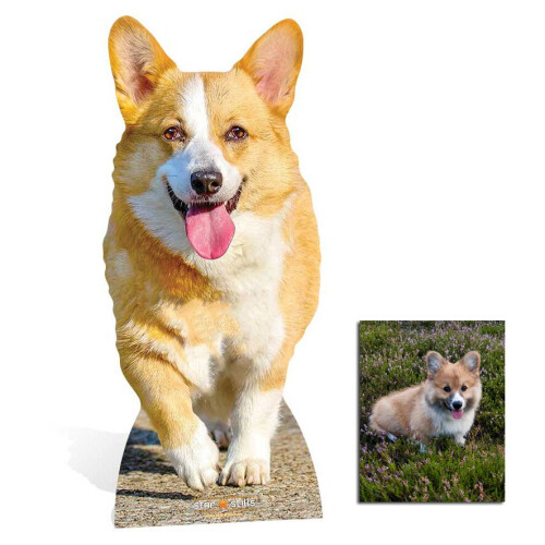 Royal Corgi Dog Lifesized Mini Cardboard Cutout / Standup / Standee ...