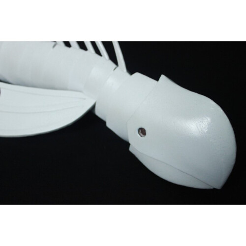 Hunter x Hunter Chrollo Lucilfer Indoor Fish Cosplay Prop on OnBuy