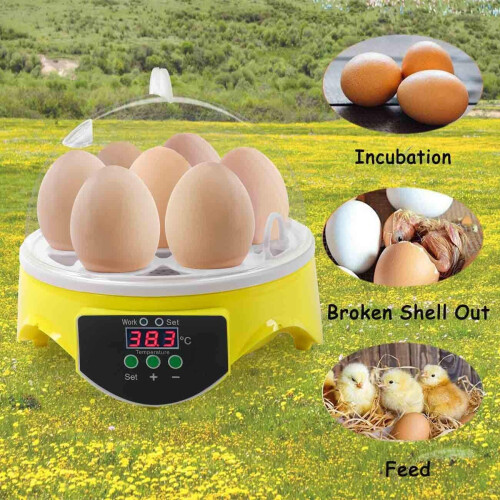 Mini Egg Incubator 7 Eggs With Automatic Temperature Control LED ...
