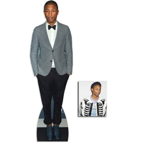 P. Williams Lifesize Cardboard Cutout / Standee / Standup - Includes 25x20cm Star Photo on OnBuy