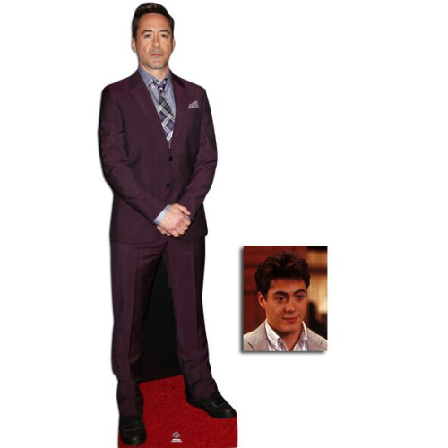 Robert Downey Jr Lifesize Cardboard Cutout / Standee / Standup - Includes 25x20cm Star Photo on ...