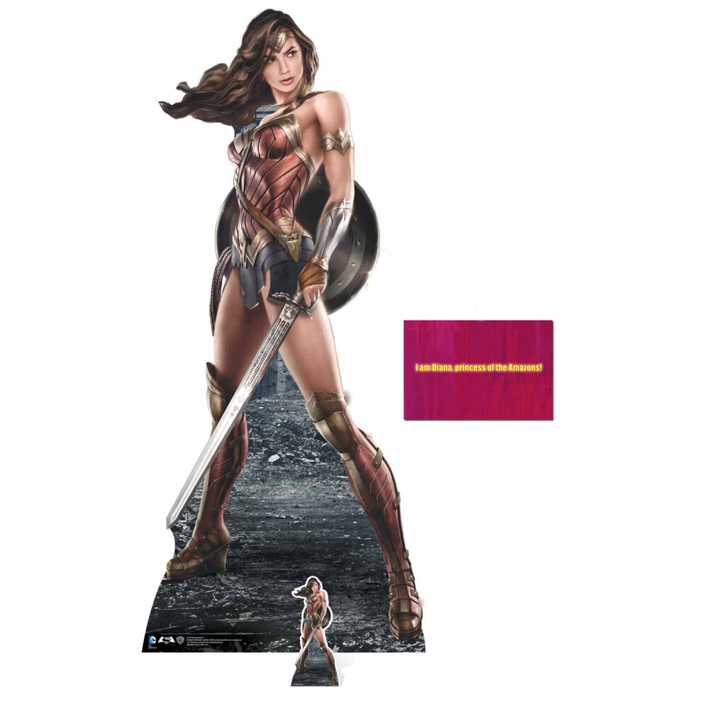 Wonder Woman holding Sword and Shield Lifesize and Mini Cardboard Cutout / Standup / Standee ...