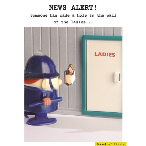 News Alert Funny Birthday Card Land Of Little Humour Cards on OnBuy
